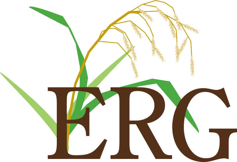ERG logo - Computer Foundations